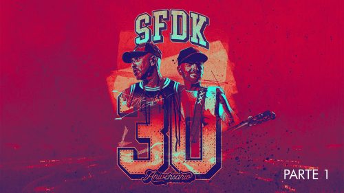 Nueva ZONA PREMIUM de SFDK – SFDK | Página Oficial